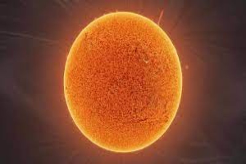 Sunshine moment: In order to study sun dynamics, ISRO places Aditya-L1 ...