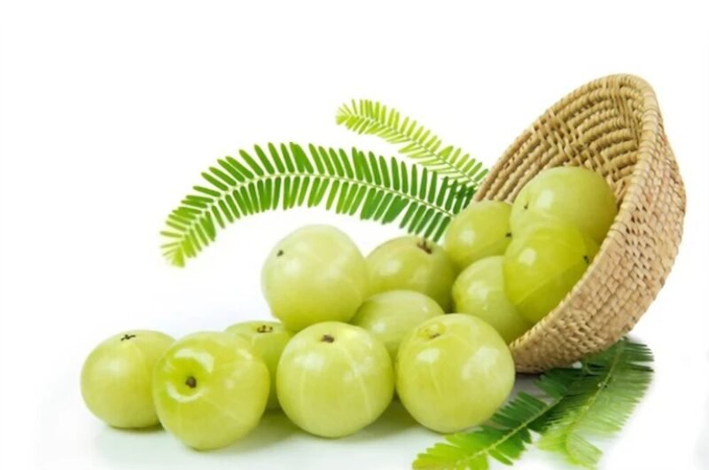4 Incredible Health Advantages Of Dry Fruits For Children - Coverage Log