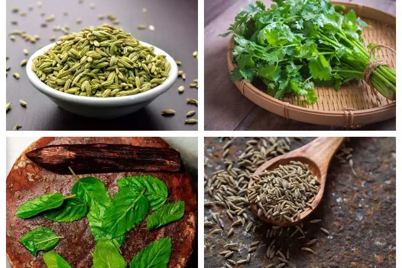 Summer Foods That You Should Eat: 5 Herbs To Stay Cool