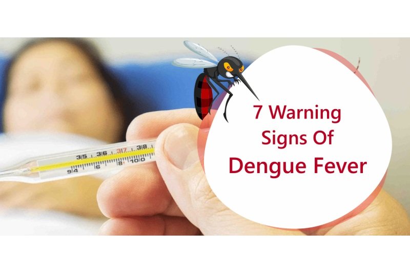 7 Dangerous Symptoms Of Dengue Fever—A Water-Borne Illness You Should ...